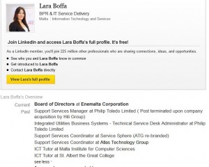 The amazing curriculum vitae of Lara Boffa, Enemalta director, and PA ...