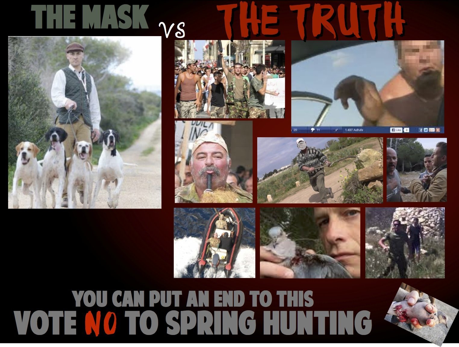 Please share this | Daphne Caruana Galizia